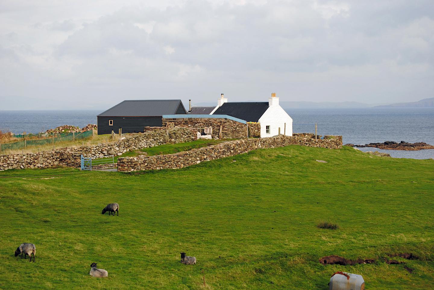 Muckle Bousta | née gibson architects